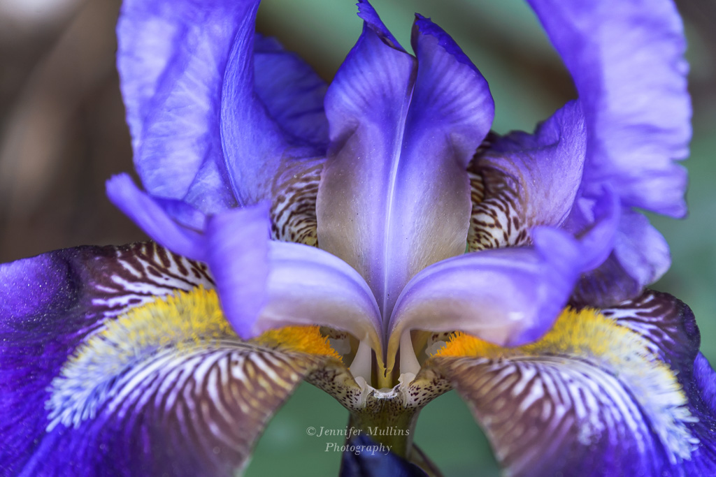 Friendship Gratitude – Beautiful Bittersweet Life